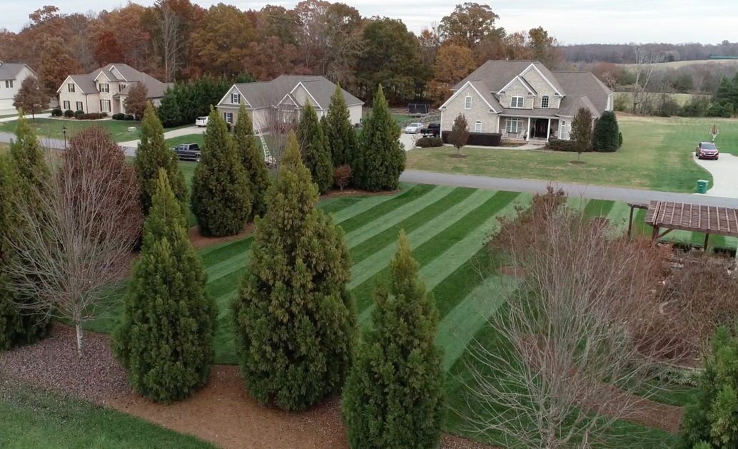 Warm Season Weed Control – GCI Turf Academy